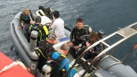 The Junk Similan Islands Liveaboard Diving Thailand
