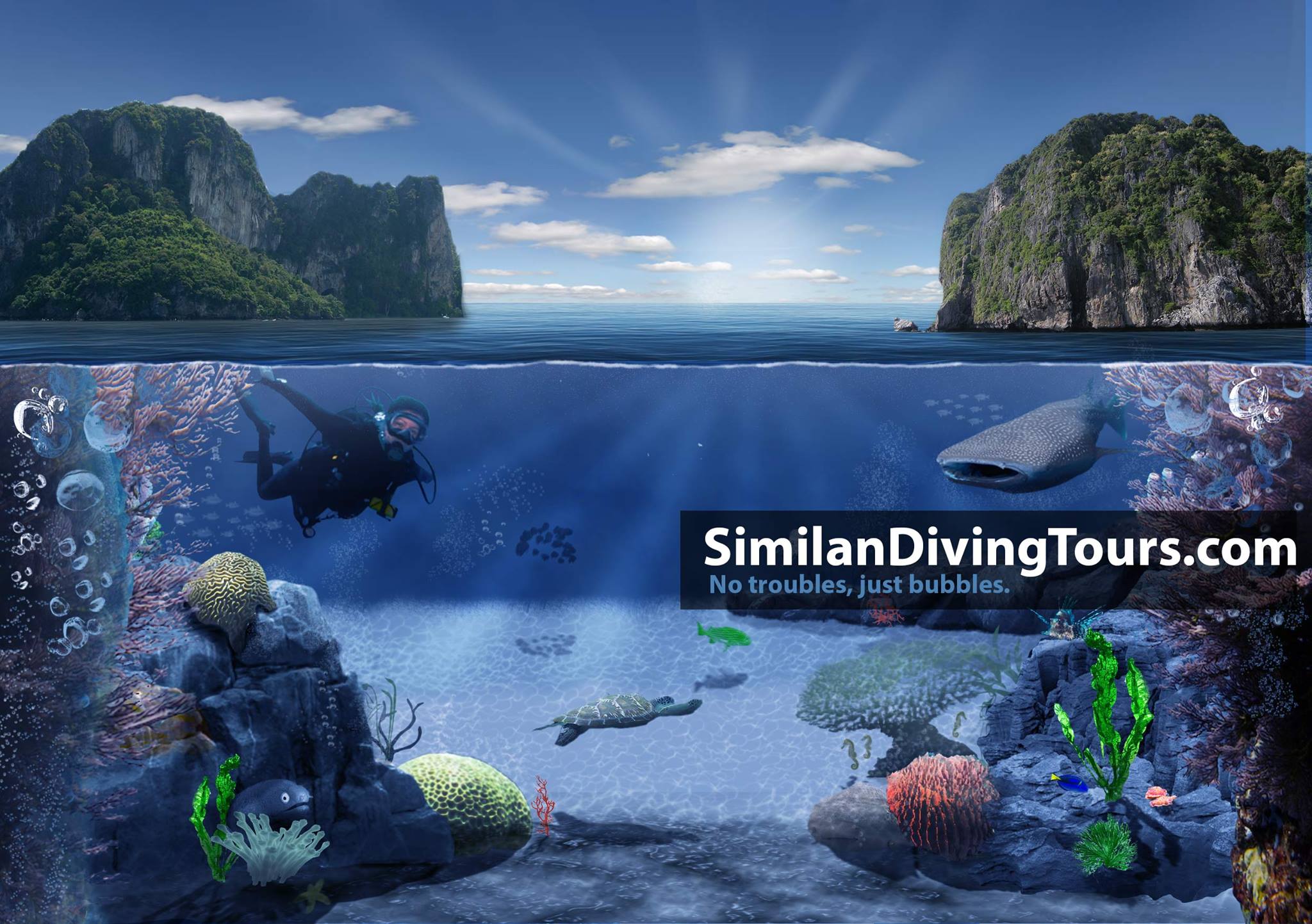 Similan Islands Diving Blog - Information, News & Specials